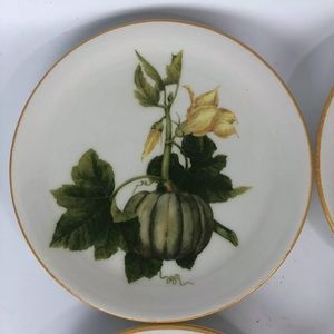 Williams Sonoma | Dining | Williams Sonoma Botanical Pumpkin Plates Set ...